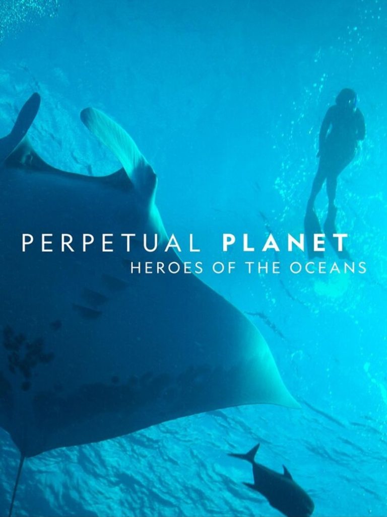 ดูหนัง Perpetual Planet Heroes of the Oceans (2021) - HD Master
