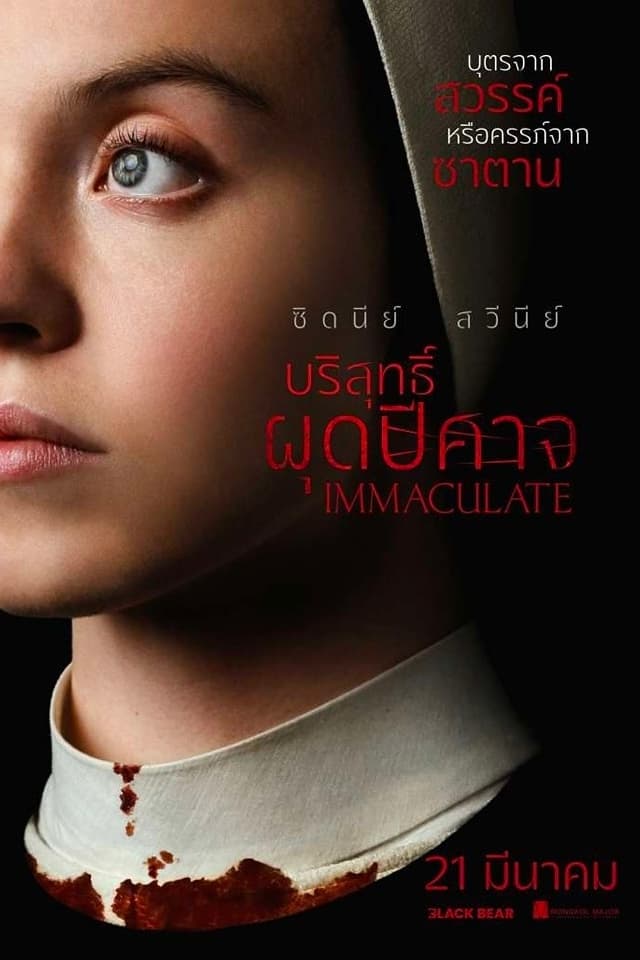 ดูหนัง Immaculate (2024) บริสุทธิ์ผุดปีศาจ - HD Master
